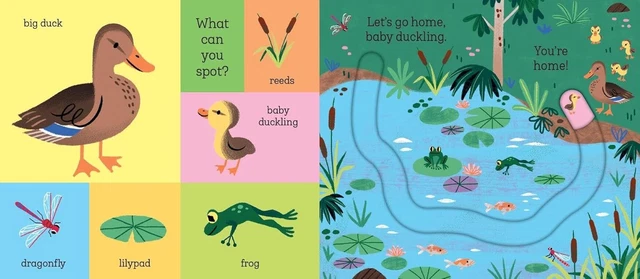 CAROLINA B&ZIO LET'S Go Home, Baby Chick (Board book) EUR 13,77 ...