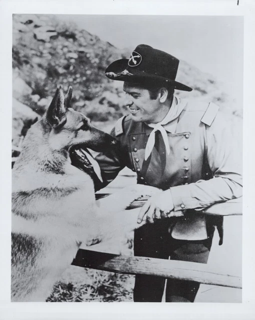 ADVENTURES OF RIN Tin Tin 1954 TV Series James Brown And Rin 8x10 Inch ADVENTURES OF RIN Tin Tin 1954 TV Series James Brown And Rin 8x10 Inch