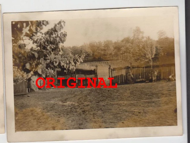 FOTO 2WK RUMÄNIEN 1944 Gatter Umzäunung Zaun tor Weide für Pferde ...