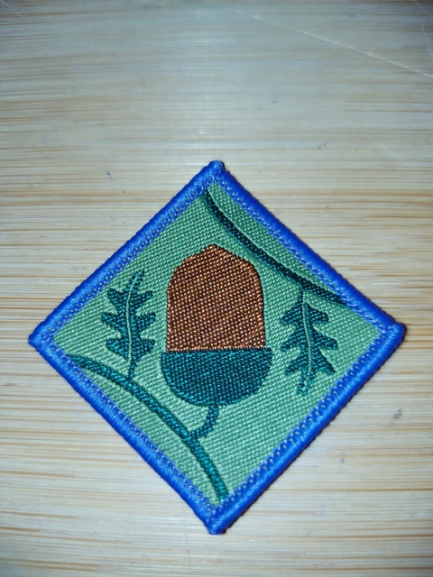 AKTUELLES UK SCOUTING Explorer Scout Young Leader Schema Modul A EUR 3 ...