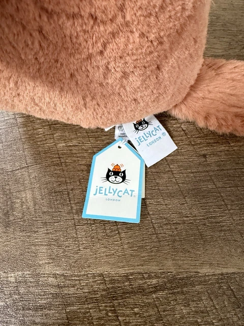 JELLYCAT PLUM ROBIN BNWT from new christmas 2025 collection £42.28 ...