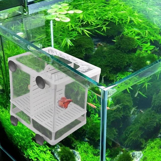 AQUARIUM FISH TANK Guppy Breeding Breeder Baby Fry Net Trap Box ...