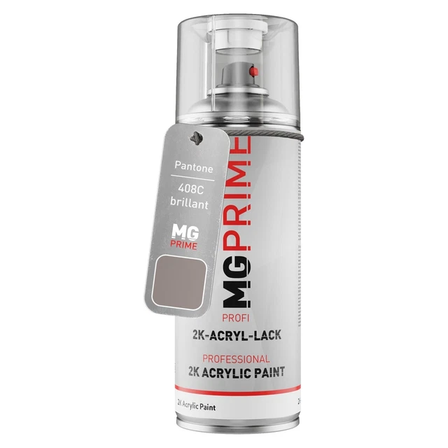 PANTONE 408C GREY brillant acrylique bombe aérosol 2C 400ml séchage ...