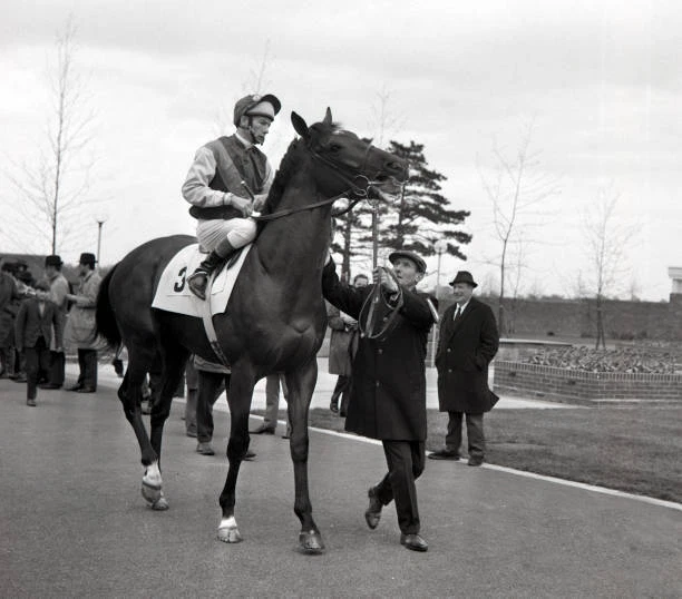 HORSE RACING JOCKEY Lestor Piggett Riding Nijinsky 1970 6 Old Photo $7. ...
