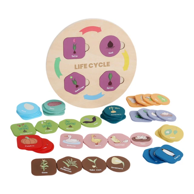 KIT CADEAU DU cycle de vie Étapes du mode de vie pour la classe des ...