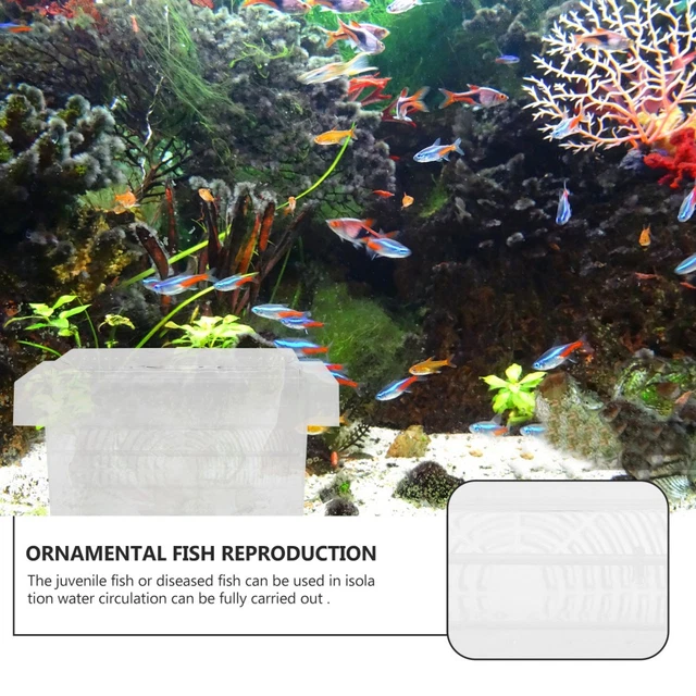 FISH TANK BREEDING Box Aquarium Isolation Box Fish Fry Box Incubator ...