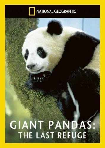 NATIONAL GEOGRAPHIC: GIANT Pandas - The Last Refuge [DVD] EUR 5,00 ...