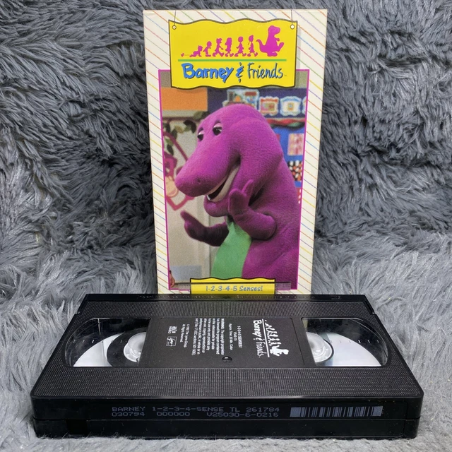 BARNEY & FRIENDS 1-2-3-4-5 Senses! VHS Tape 1993 Time Life Video ...