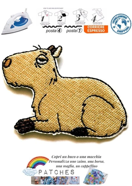 PATCH ENCANTO MOVIE toppa termoadesiva figure iron on capybara capibara cartoon EUR 2,99 ...