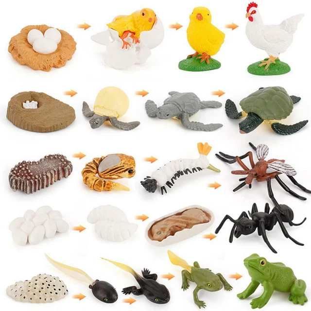 TOY GROWTH CYCLE Life Cycle Model Set Frog Ant Mosquito Figure Gift ...