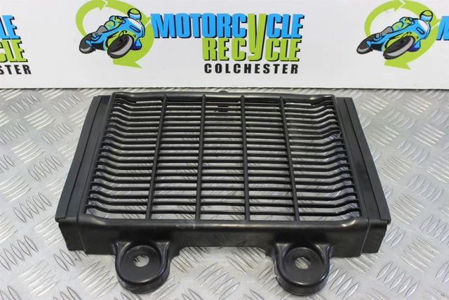 TRIUMPH THUNDERBIRD SPORT 900 Radiator Grill Guard 1997 to 2004 B101 £ ...