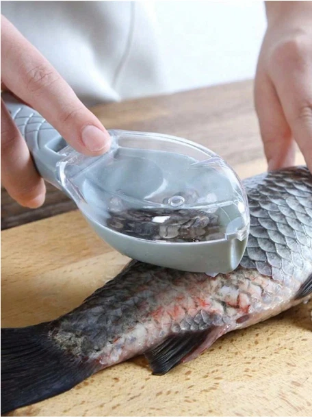 FISH SKIN - Plastic Fish Scale Scraper - A Tool For Simple Kitchen ...