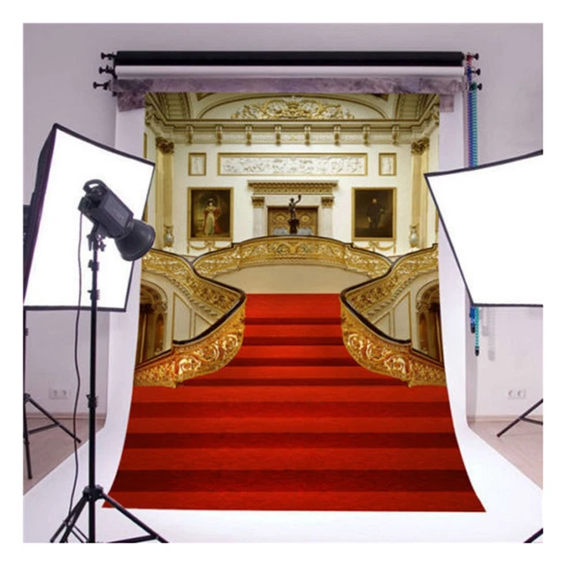 2X CASTLE PHOTOGRAPHY Backdrops Vinyl 5x7ft Luxury Wedding Background ...