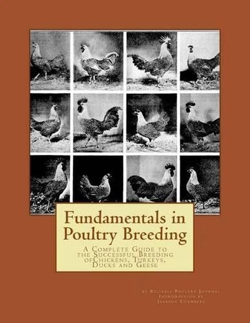 FUNDAMENTALS IN POULTRY Breeding: A Complete Guide to the Successful ...