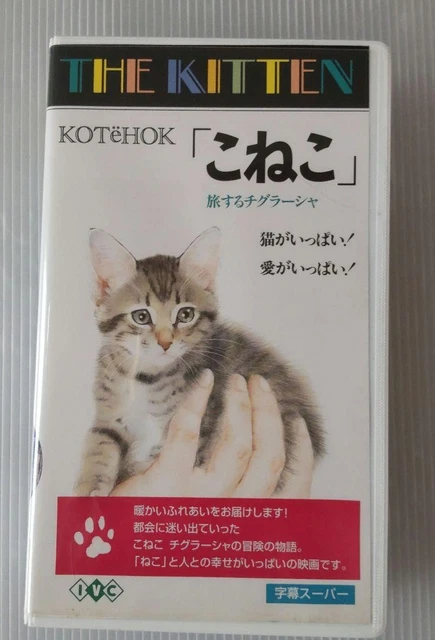 CAT VHS VIDEO Tape with Subtitles and Documentary on Cat Training £42. ...
