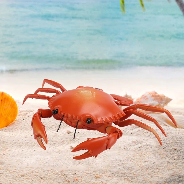 FUNNY HIGH SIMULATION Remote Control Infrared Animal Crab Kid Trick ...