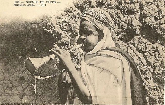 CPA AFRIQUE ALGERIE Scenes Et Types Musicien Arabe EUR 5,95 - PicClick FR