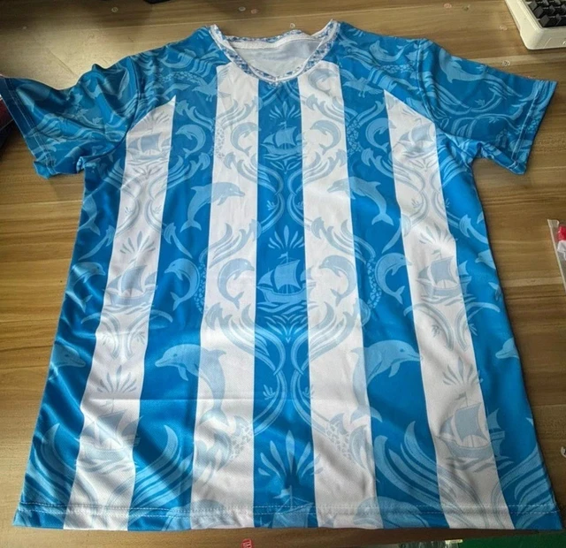 BRIGHTON AND HOVE Albion 2026 alternative concept football shirt, size ...