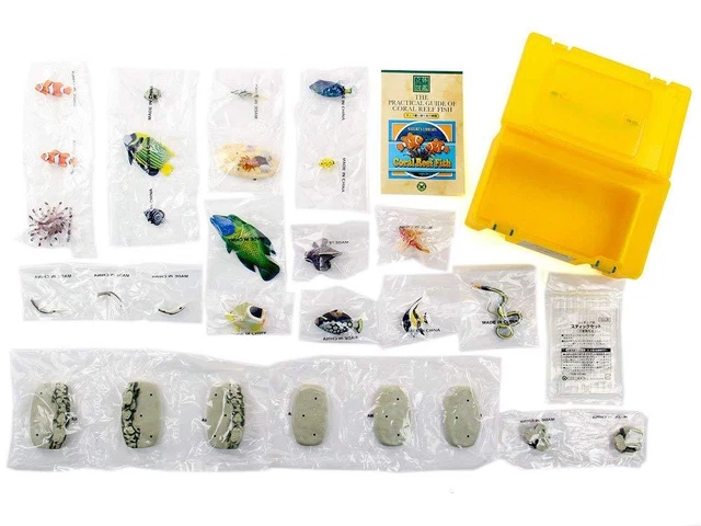 COLORATA 3D REAL Figure Box Nature's Library Coral Reef Fish Action ...