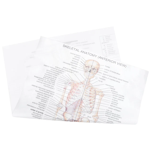 OFFICE DECORATION PAINTING Anatomical Heart Poster Human Dissection £8. ...