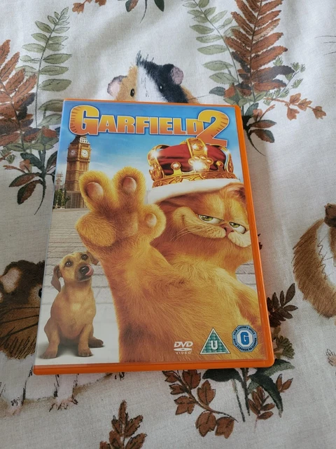 GARFIELD 2 A Tale Of Two Kitties Dvd Bill Murray Breckin Meyer £5.00 ...