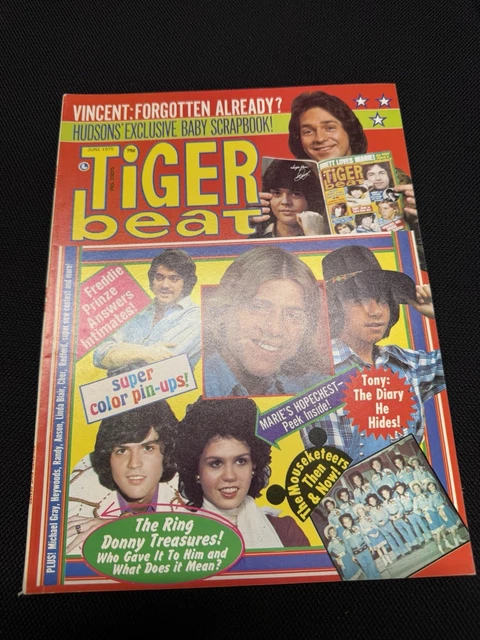 TIGER BEAT MAGAZINE - June 1975 - Volume 11, Number 9 £11.16 - PicClick UK