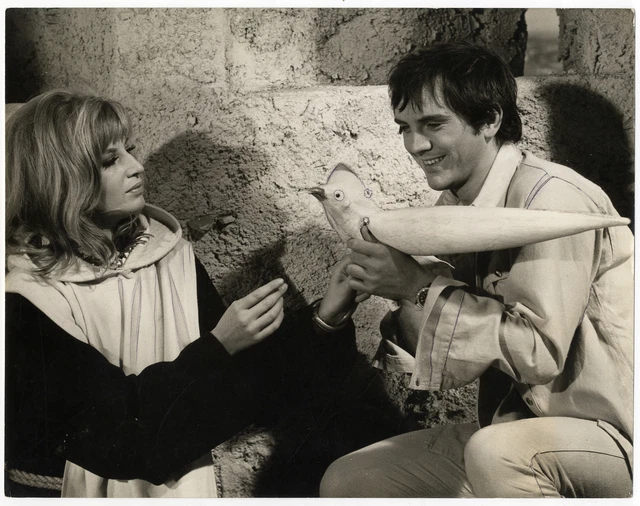 MODESTY BLAISE JOSEPH Losey Monica Vitti Terence Stamp Original Photo ...
