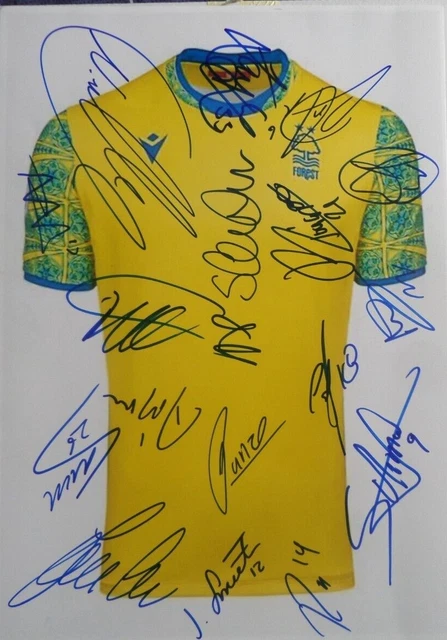 NOTTINGHAM FOREST AUTOGRAPHED A4 Size Photo Signed By 17. £24.99 ...