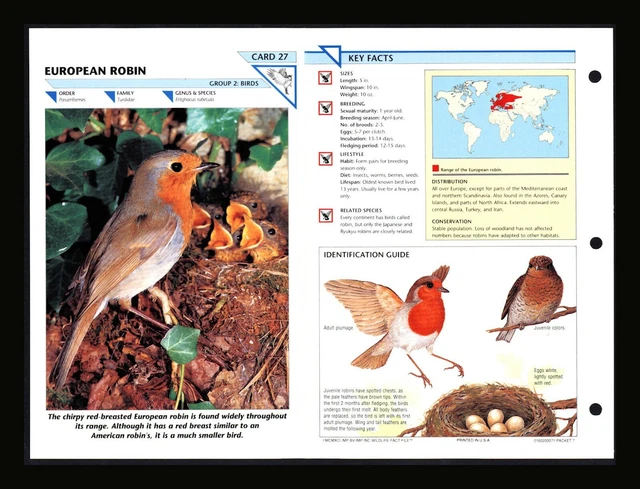EUROPEAN ROBIN WILD Life Fact File Bird Animal Card Home School Study ...