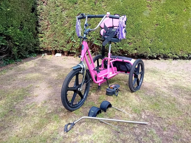 QUEST 88 PANTHER Disabled child's Tricycle Mobility £350.00 - PicClick UK
