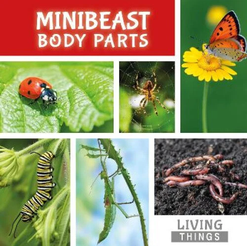 MINIBEAST BODY PARTS (Living Things) by Steffi Cavell-Clarke NEUF EUR ...