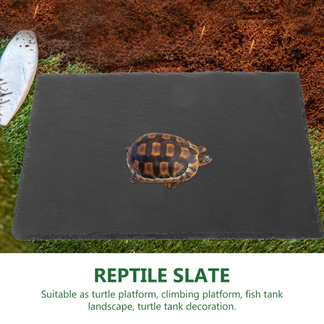 TORTOISE SLATE PAD Turtle Basking Platform Aquarium Slate Turtle ...