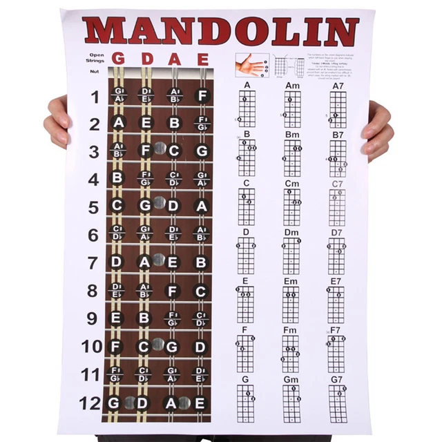 MANDOLIN CHORDS CHART Poster 22.05''x15.75'' Wall Chart Mandolin ...