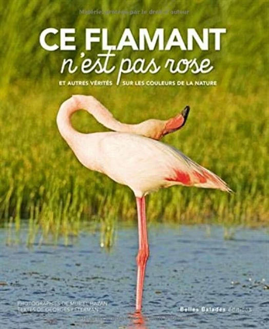CE FLAMANT N'EST pas rose | Feterman Georges Hazan Muriel | Très bon ...