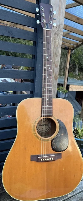 REGGIE KRAY HMP Wayland Prison BM Jumbo 155 Japan D Wing 1999 Guitar ...