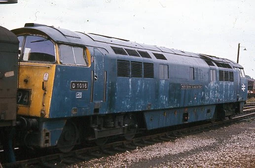 ORIGINAL COLOUR SLIDE of D1016 BR class 52 Western diesel hydraulic ...