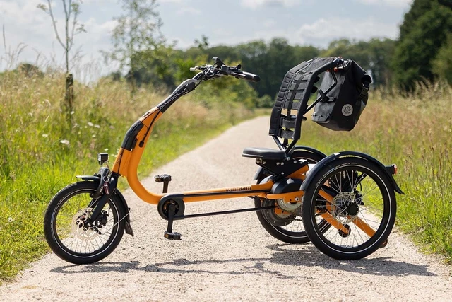 VAN RAAM EASY Rider Compact Small Therapeutisches elektro Dreirad NEU ...