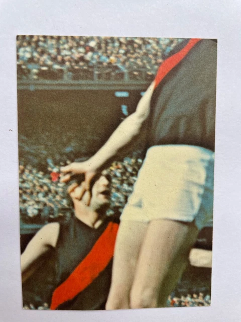 DON SCOTT HAWTHORN Hawks VFL 1969 Scanlens Footy Card $14.00 - PicClick AU