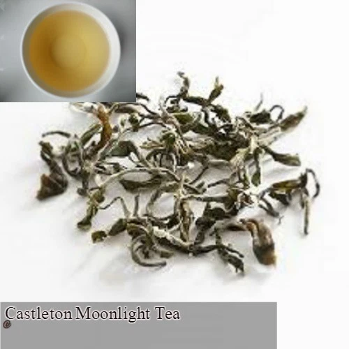 DARJEELING TEA (FRESH FIRST FLUSH 2025) CASTLETON MOONLGHT TEA 200 Gms ...
