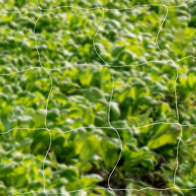 HEAVY DUTY TRELLIS Netting Roll - 4ft × 3280ft Soft Mesh Net For ...