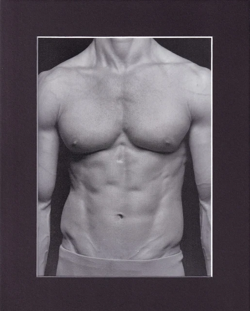 8X10& MATTED PRINT Art Photo Picture Male Bodybuilder Torso Shirtless ...