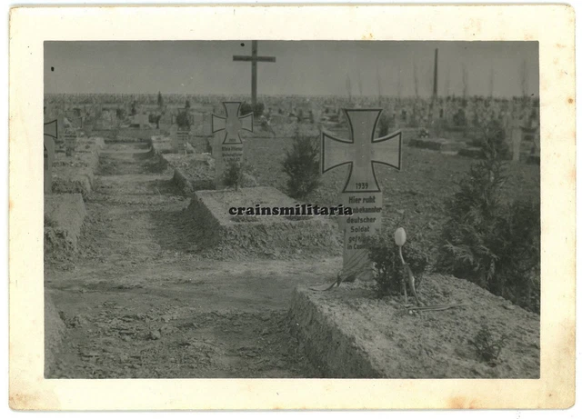 ORIG. FOTO GRAB 17.ID Soldat Toucoing in Friedhof CAMBRAI Frankreich ...