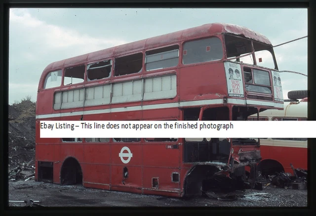 LONDON TRANSPORT BUS Colour Photograph AEC Routemaster RM 2031 PVS ...