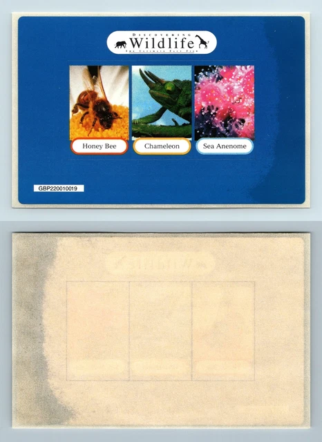 DISCOVERING WILDLIFE THE Ultimate Fact File #19 Sticker Set EUR 1,40 ...