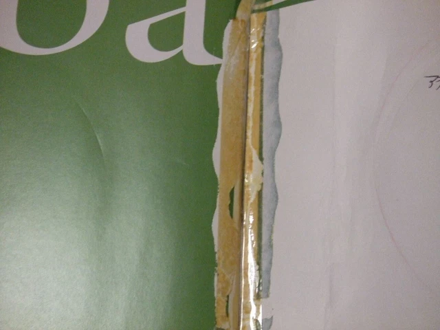 ALINA KABAEVA PHOTO book W/ DVD rhythmic gymnastics Olympic £55.42 ...