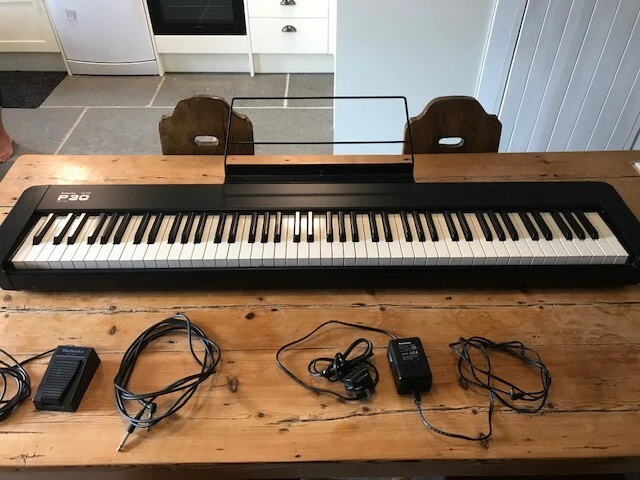 TECHNICS SX-P30 88-KEY weighted Digital Stage Electric Piano with stand ...