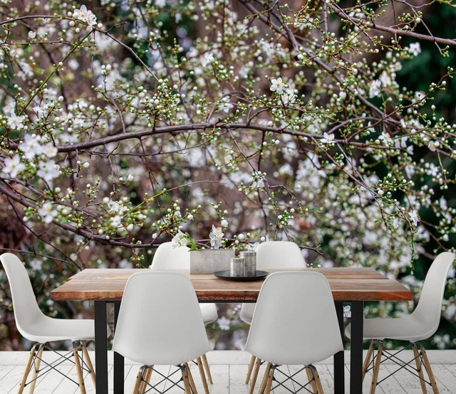 3d Tiny White Flowers K4893 Wallpaper Mural Self Adhesive Removable
