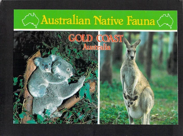 S0127 AUSTRALIA NATIVE Fauna Koala Kangaroo Gold Coast MV GC518 ...