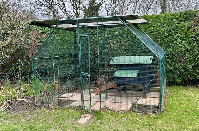 CHICKEN RUN WALK In / Enclosure Wire Cage - used £125.00 - PicClick UK