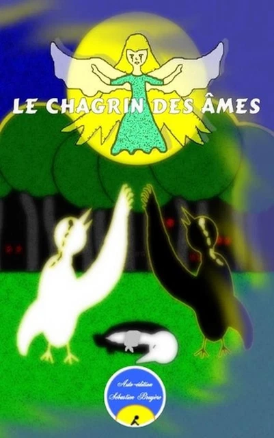 LE CHAGRIN DES mes by S?bastien Bruy?re (French) Paperback Book $37.50 ...